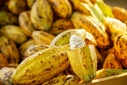 Home - Green Impulse