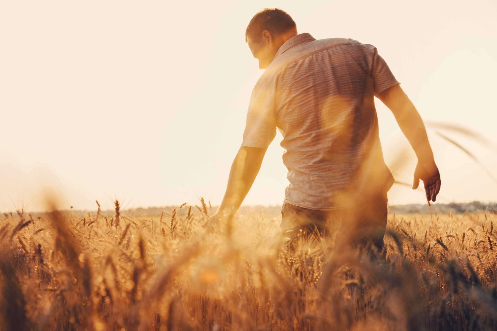 Home - Green Impulse